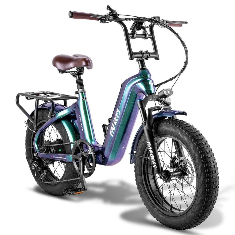 Fafrees F20 Master Electric Bike | Carbon Frame Long Range